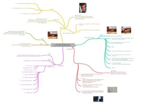 Necrotizing Fasciitis Lt Leg โรคแบคทีเรียกินเนื้อหรือโรคเนื้อเน่า