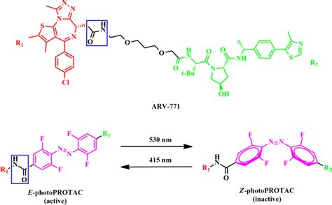 The Chemical Structure Of Arv 771 As The Lead Structure For The Download Scientific Diagram