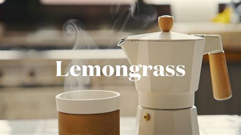 따뜻한 차 커피 마시며 듣는 편안한 피아노 음악 I 여유로운 티타임 I Tea And Coffee And Piano Music I