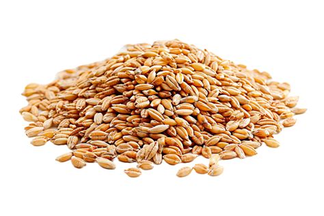 Ai Generated Pile Of Whole Grain Wheat Kernels Png 41042876 Png