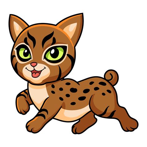 Cute Pixie Bob Cat Cartoon 17112154 Vector Art At Vecteezy