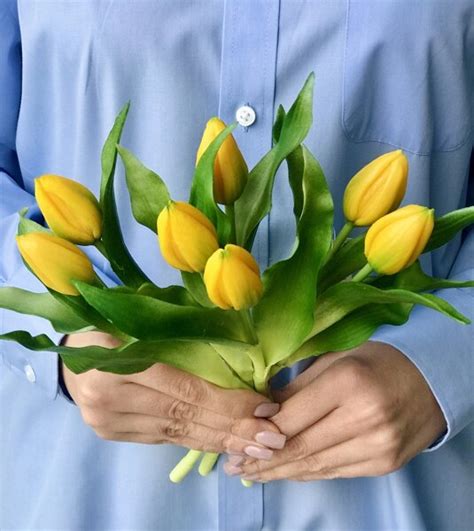 Штучні тюльпани латексні букет 7 закритих бутонів жовті Real Touch купити за 474 грн в Броварах