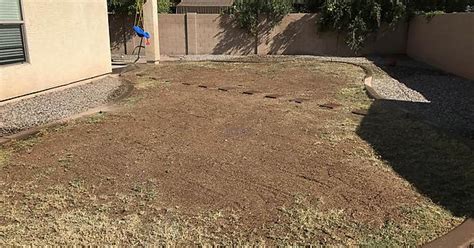 Backyard Grass Album On Imgur