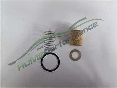 Holley Fuel Bowl Bronze Inlet Filter Kit Hume Performance