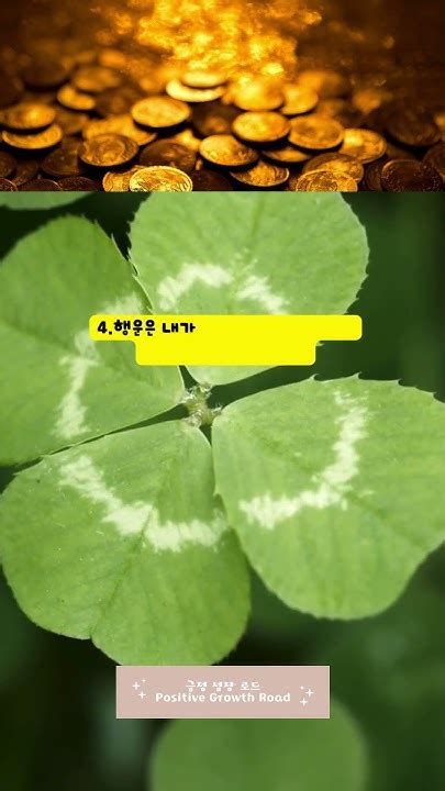 성공 채널 행운의 전략적 활용 성공을 향한 네 번째 단계shorts 동기부여 자기계발 자기개발 부자 좋은글 행운 긍정확언 긍정 Youtube