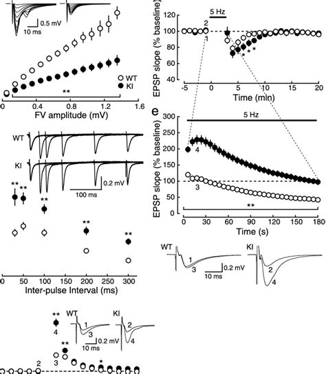 Abnormal Basal Synaptic Transmission And Presynaptic Short Term Download Scientific Diagram