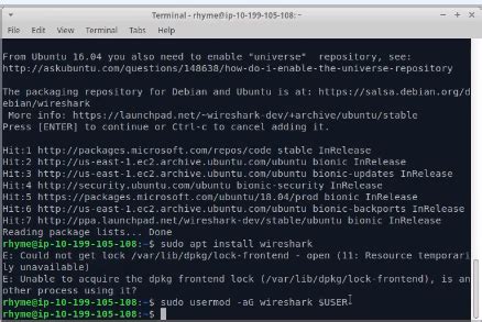 Wireshark Packet Capturing Network Traffic Analysis
