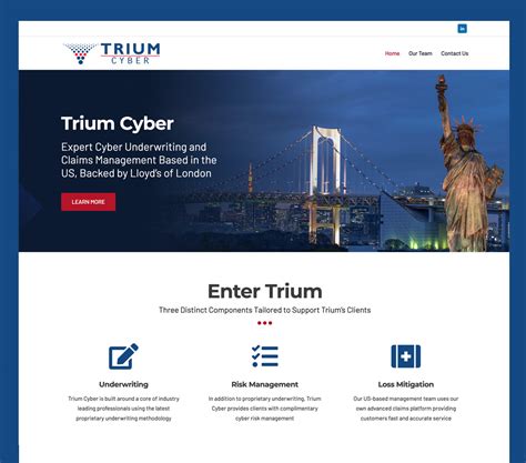 Trium Cyber Ct Web Design And Hosting Roy Web Design Llc