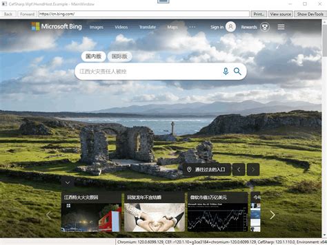 基于cefsharp开发浏览器（十）cefsharp wpf中文输入法偏移处理 咸鱼翻身？ 博客园