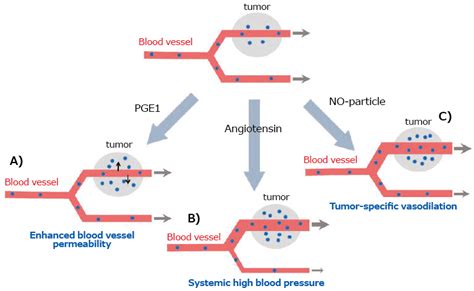 Nanoparticle Drug And Gene Delivery For Tumor Targeting