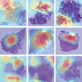 Overview Of The Deep Learning Model A The Overall Flow Chart Of Download Scientific Diagram