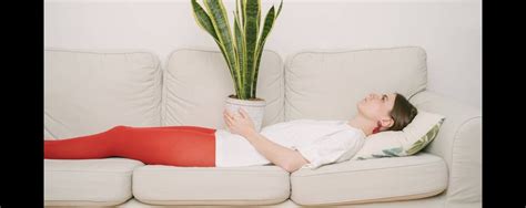 8 растений которые нельзя держать дома если не хотите разрушить личную жизнь