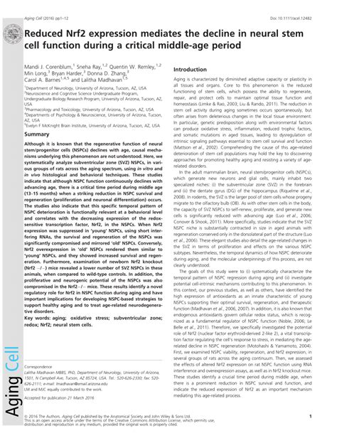 Pdf Reduced Nrf2 Expression Mediates The Decline In Neural Stem Cell
