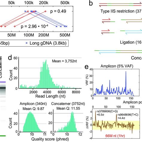 Overview Of Oncogene Concatenated Enriched Amplicon Nanopore Sequencing Download Scientific
