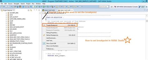 Debugging In Adt Essential Techniques For Abap On Sap Hana