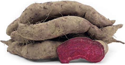 Purple Japanese Sweet Potatoes Information And Facts