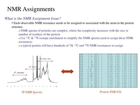 Ppt What Is The Nmr Assignment Issue Powerpoint Presentation Free