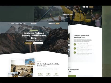 Clone Copy Revamp Redesign Duplicate Wordpress Elementor Website