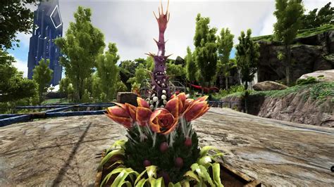 How To Get Plant Species X Seeds In Ark Survival Evolved Gamepur
