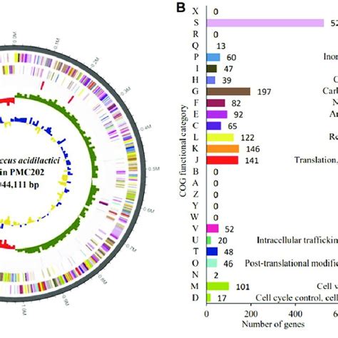 High Throughput Genome Sequencing Results Of P Acidilactici Strain