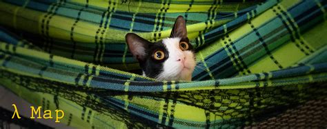 Solving Javascript Race Conditions With Promises By Lubien Medium