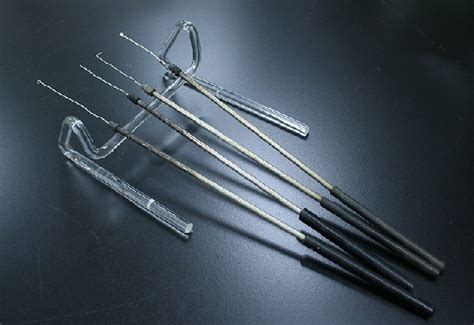 Bacteriological Loop Characteristics Types Uses Biology 2026