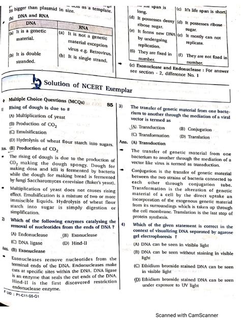 11 Biotechnology Principal And Processes Pdf