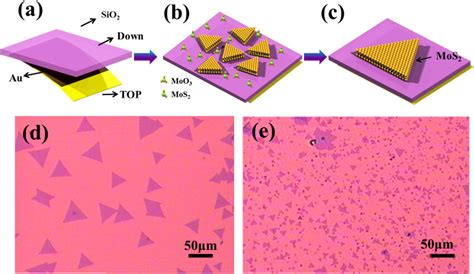 A C Schematic Illustration Of The Synthesis Process Of Single Layer Download Scientific