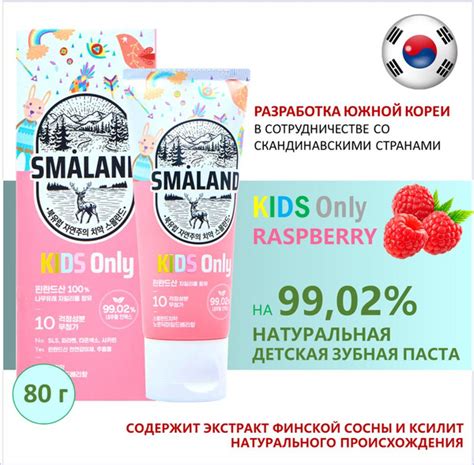 Детская зубная паста SMALAND NORDIC MILD RASPBERRY ЯГОДНАЯ 80г - купить ...