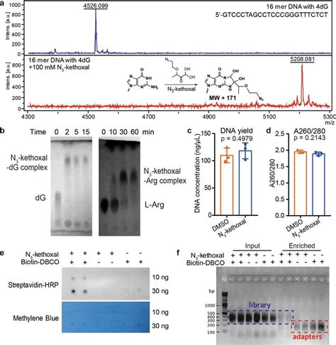 Characterization Of The N3 Kethoxal Based Labeling A Maldi Tof Download Scientific Diagram
