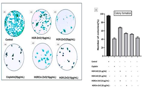 Molecules January 2 2023 Browse Articles