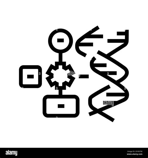 Genetic Algorithms Black Line Icon Stock Vector Image And Art Alamy