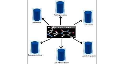Marine Algae Derived Bioactive Peptides For Human Nutrition And Health Journal Of Agricultural