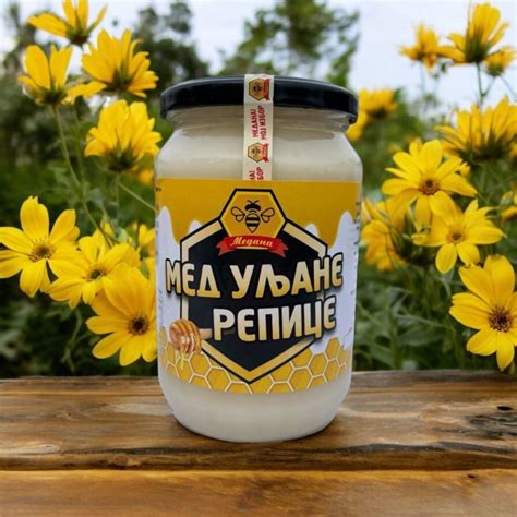 Med Uljane Repice Sirovi Medana