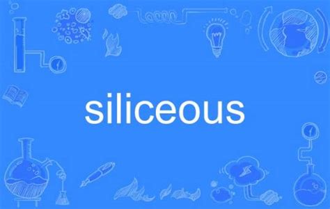 Siliceous 百度百科