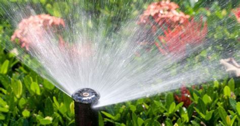 How To Winterize A Sprinkler System With Backflow Preventer