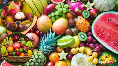 Buah Apa Paling Popular Di Malaysia Segalanya Tentang Tumbuhan…