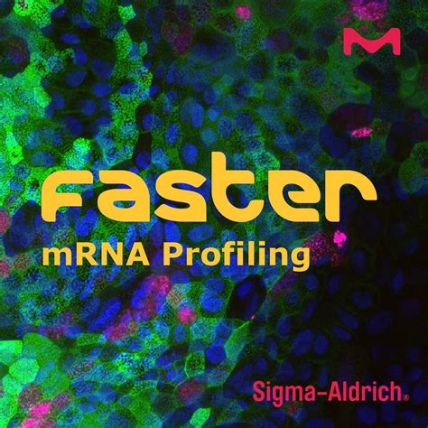 Multi Seq Sample Multiplexing For Single Cell Analysis And Sequencing