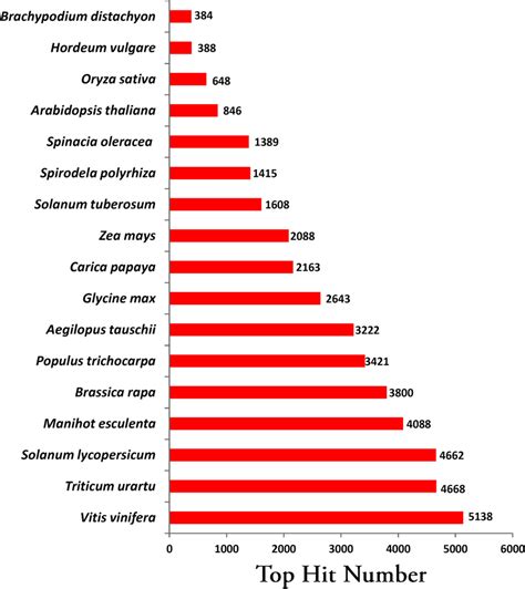 Top Hits Organism Distribution Of Transcriptome Annotation With Pmn