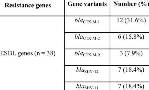 Genetic Characterization Of Ampc β Lactamases Esbls And Download Scientific Diagram