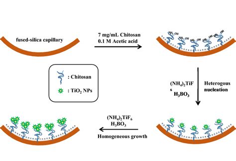 The Fabrication Of Tio2 Cs Coated Capillary Column Download Scientific Diagram