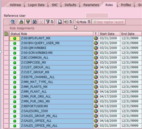User Authorization Issue SAP Community