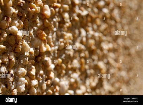 Pebbledash Hi Res Stock Photography And Images Alamy