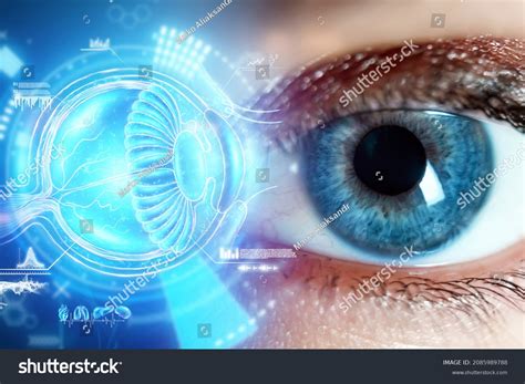 Anatomy Human Eye Vision Over 1487 Royalty Free Licensable Stock