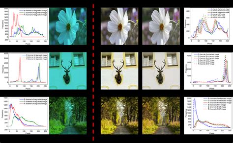 Comparison Of The Frequency Distribution Curves Download Scientific Diagram