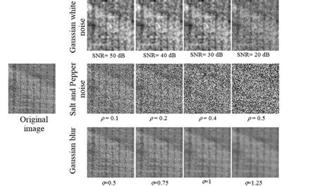 Sample Noisy Images Generated By Additive Gaussian Blur Salt And Download Scientific Diagram