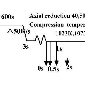 Optical Microstructure Of Compression Test Sample A Compression Download Scientific Diagram