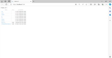 C Net 6 0 Mvc App Shows Wwwroot Folder Directory Listing Instead Of My Application When I