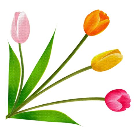 Fanfan Free Png Picmix