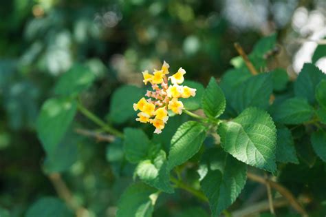 Chetan Menaria Photography